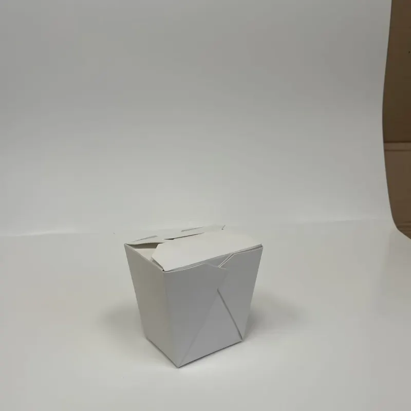 Rice Pail Not Handle